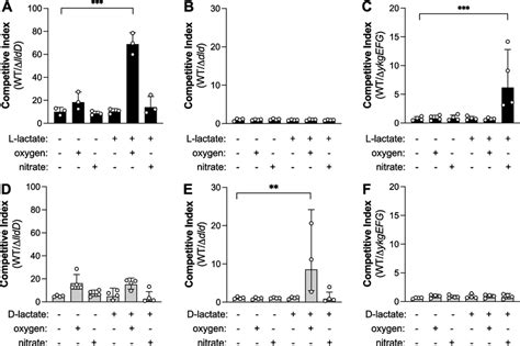 Utilization Of Lactate By E Coli In Vitro Mucin Broth Was Inoculated Download Scientific