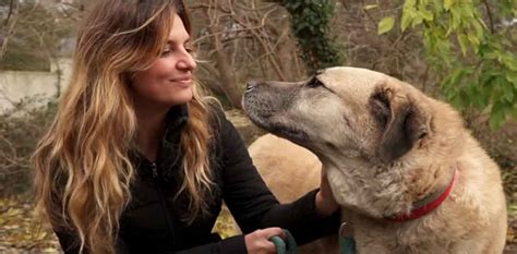 Laetitia Milot Plus Belle La Vie Sur Tf1 Pas De Retour De Mélanie