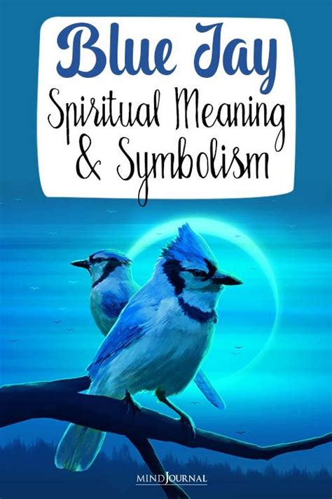 Blue Jay Spiritual Meaning And Symbolism What Does Seeing A Blue Jay Mean In 2022 Blue Jay