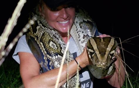 Invasive Pythons Python Hunter Python Huntress Amy Siewe