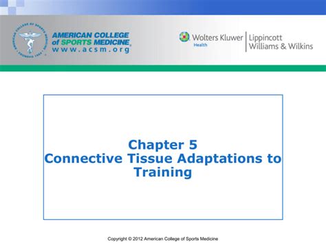 Chapter 5 Connective Tissue Adaptations To Training