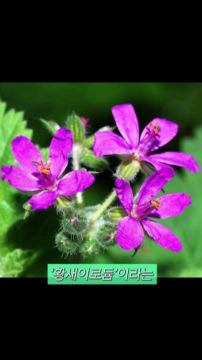 신기한 씨 발아 기술 [정보 Ep 23] Youtube