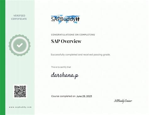 Sap Overview Dabbmgfu Darshana Pandey