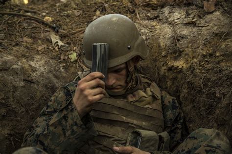 Dvids Images Fmtb E Finex Image 3 Of 42