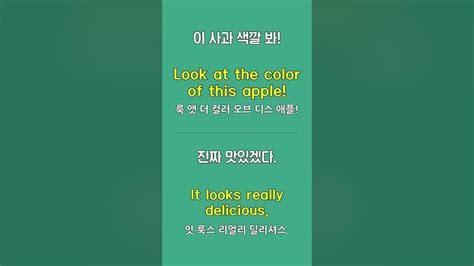 생활영어 79 L 쉬운영어공부 여행영어 시니어영어 왕초보영어 일상 영어 영어발음연습 영어 표현 기초영어 영어문장 영어말하기 영어공부 Youtube