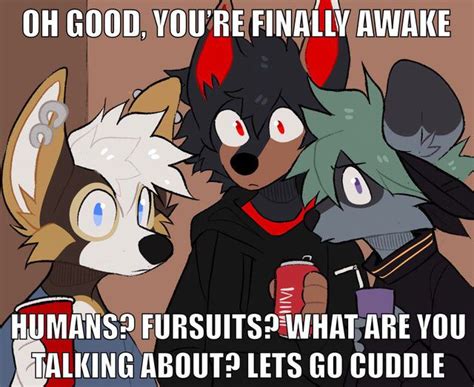 Pin By Imafurrysowhat On Furry Memes Furry Drawing Furry Art Anthro