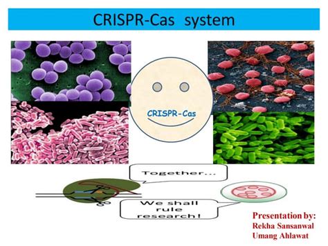 Crispr Cas Systems Beyond Gene Editingpptx