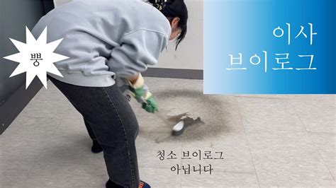 작업실 옮기는 브이로그 새식구가 생겼어요 구경오실래요 Youtube