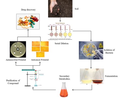 Graphical Abstracts Resledge
