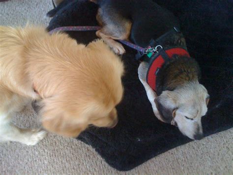 Pictures Of Anthony Warde Picture 139060 Pictures Of Celebrities