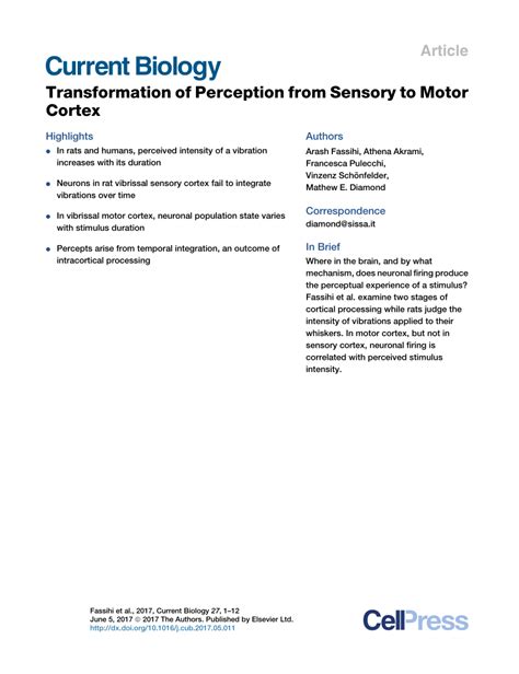 Pdf Transformation Of Perception From Sensory To Motor Cortex
