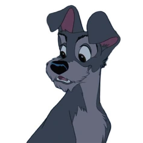 Tramp By Draco Awesomeness On Deviantart