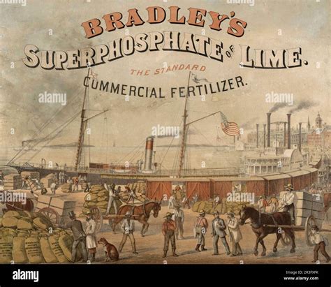 Vintage Advertisement For Bradleys Superphosphate Of Lime The Standard Commercial Fertilizer