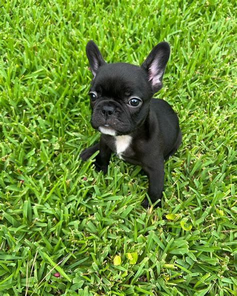 Brennah Black Brennah Black Added A New Photo