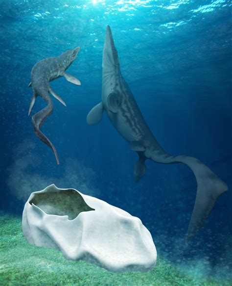 Frozen For 68 Million Years A Giant Egg Called ‘the Thing Found In