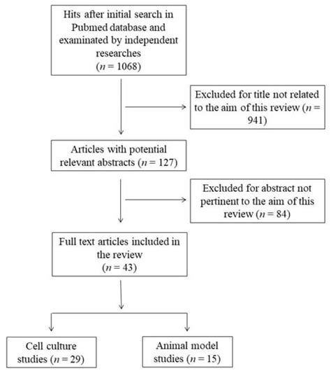 Antioxidants Special Issue Oxidative Stress And Nrf2 In Health And