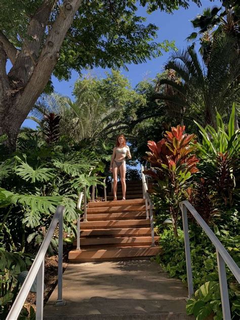 Wheres Waldo Hawaii Edition Wheres Waldo Hawaii Stairs