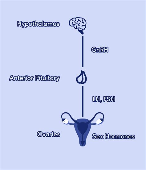 Cycle Science Learn Body Literacy