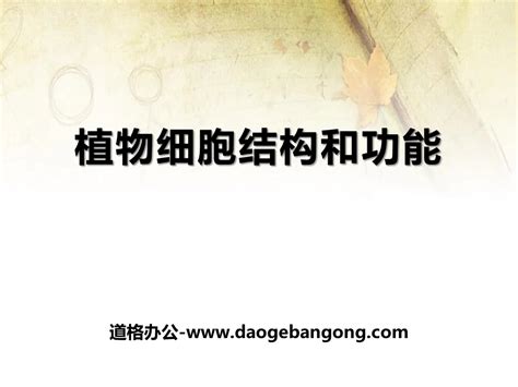 plant cell structure and function ppt courseware jiangsu education