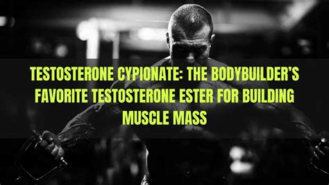 Testosterone Injection For Bodybuilding Dosage Benefits Before And After Results