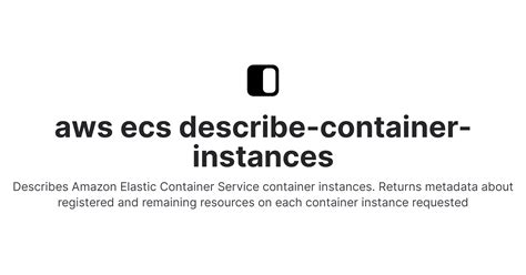 aws ecs describe container instances fig