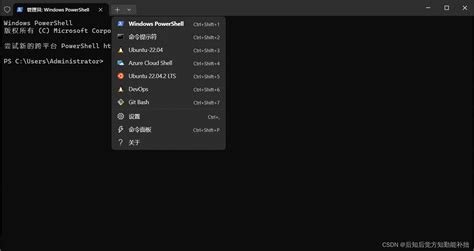 windows10使用wsl及遇到的问题解决 wsl 线程的并行有问题 csdn博客