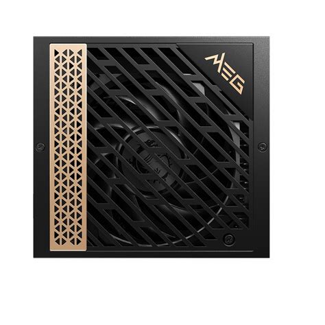 MSI MEG Ai1000P 1000W 80Plus Platinum PCIe 5.0 Güç Kaynağı I Tebilon'da