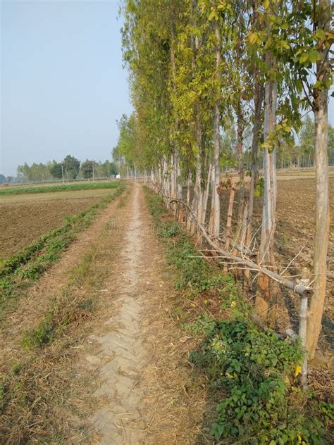 A Passage For Form House Stock Image Image Of Field 167535999