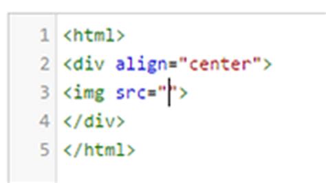 Learn To Add Custom Body Tag Code To Your Web Pages With Instantpro