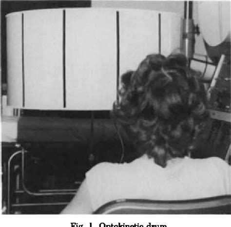 Figure 1 From The Optokinetic Test And The Eng Test Battery Semantic Scholar