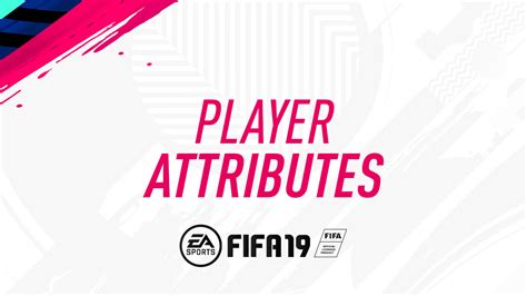 Fifa 19 Player Attributes Fifplay