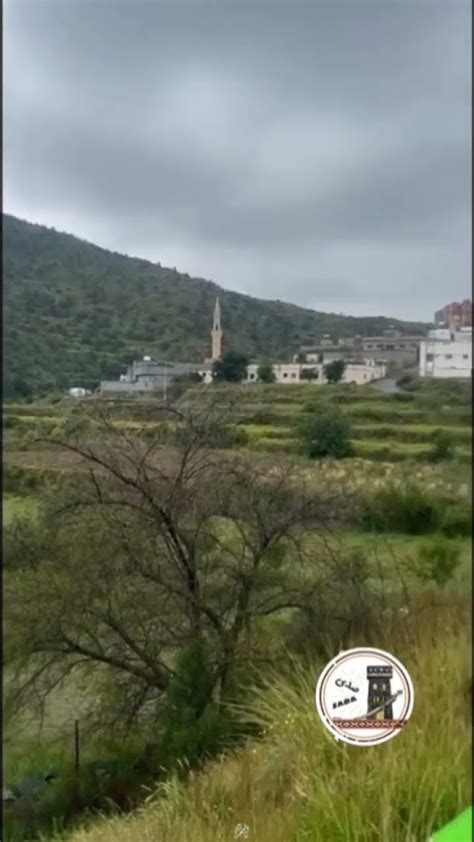 بني مالك بجيلة Youtube