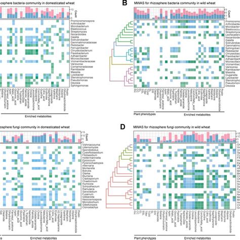 Pdf Plant Domestication Shapes Rhizosphere Microbiome Assembly And Metabolic Functions