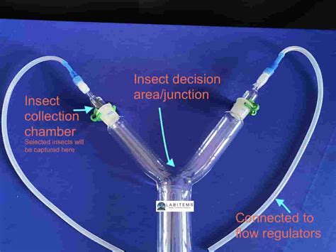 Y Tube Insect Olfactometer For Ticks And Mites In Delhi Bhubaneshwar Kolkata Bangalore Hyderabad
