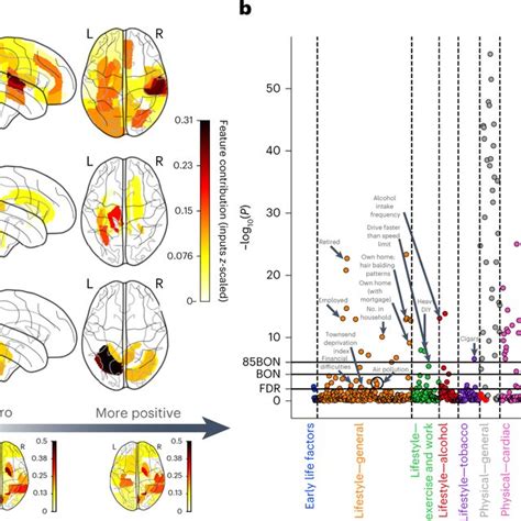 The Leading Whole Brain Asymmetry Pattern Spotlights Shifts In The Download Scientific Diagram
