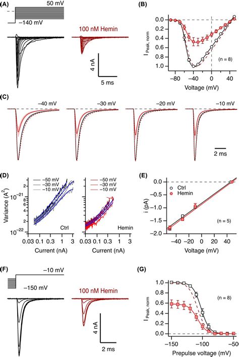 Voltage Dependence Of Activation And Inactivation A Representative Download Scientific