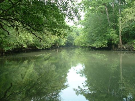 Noah Valenstein Hired As Deps New Secretary