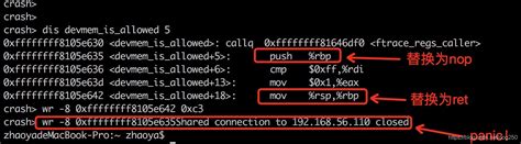 linux crash工具结合 dev mem任意修改内存 csdn博客