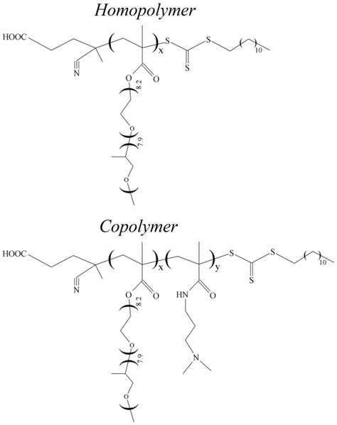 Synthesis Characterization Conformation In Solution And