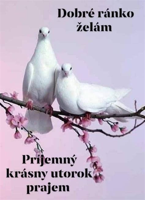 Nápady 77 Na Tému Utorok Utorok Veselé Obrázky Dobré Ráno