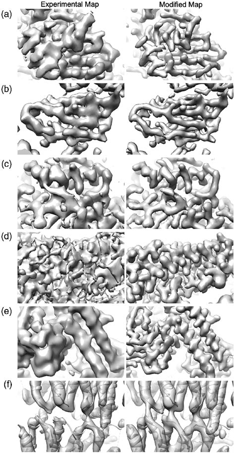 Examples Of Em Maps Before And After Applying Em Gan In Each Example