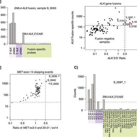 Detection Of Alk Fusion Gene And Met Exon 14 Skipping Events Using The Download Scientific
