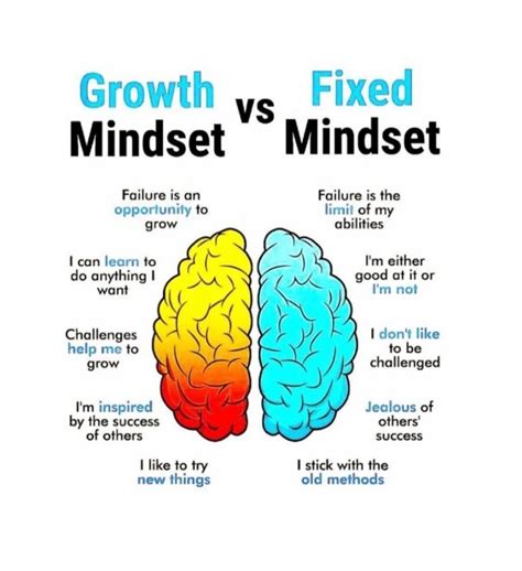 Salma Hamnouchi On Linkedin Growthmindset Continuouslearning