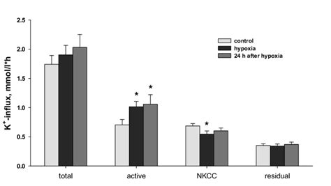 Hypoxia Induced Alteration Of Ion Transport In Wt Erythrocytes