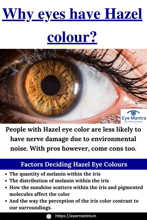 Hazel Eye Color Facts Causes And Advantages Of Hazel Eyes Hazel