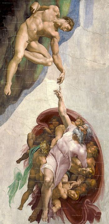 Creation Of Adam High Resolution