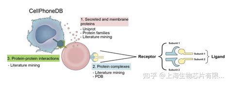 百篇文献汇总精华！单细胞高级分析（三） 知乎