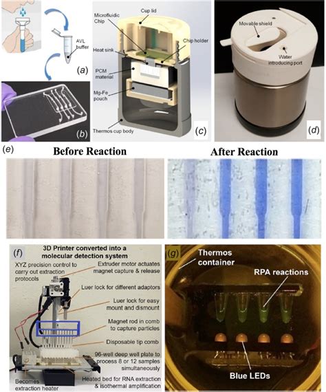 Advances In Diagnostic Methods For Zika Virus Infection Pmc