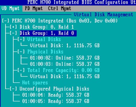DELL Server How To Create RAID Using PERC H Integrated BIOS Configuration Utility