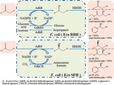 Multi‐enzymatic Biosynthesis Of Chiral β‐hydroxy Nitriles Through Co